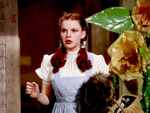 Dorothy Reaction S Oz Obsessed