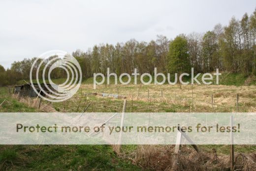 Newtyle To Alyth Junction & Alyth