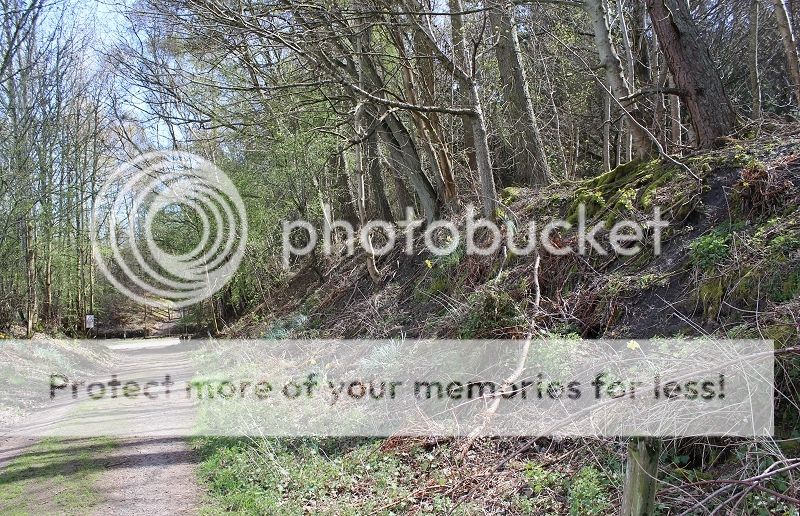 Newtyle North Junction To Adler Junction