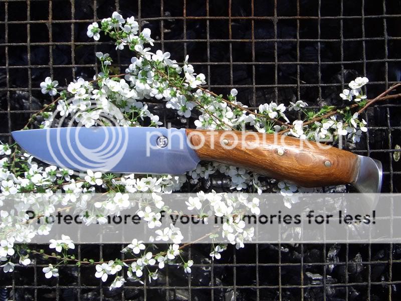 My Knife Collection | BladeForums.com