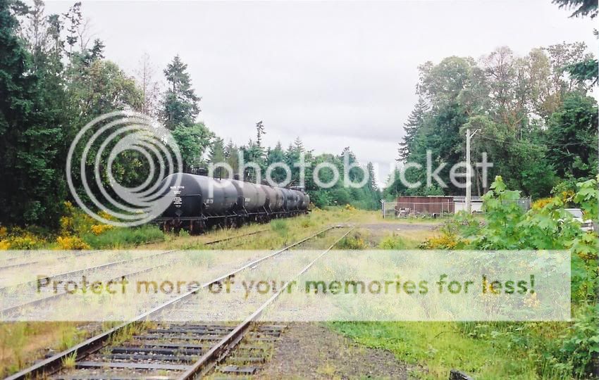 Weediest, Most Overgrown ROW Still Running? - General Discussion ...