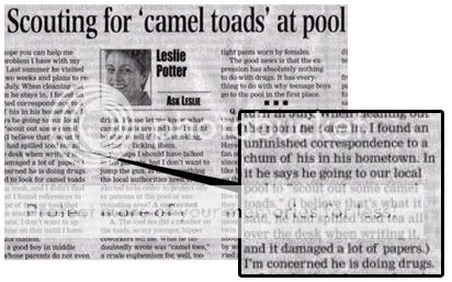 scouting camel toads | pantone 292